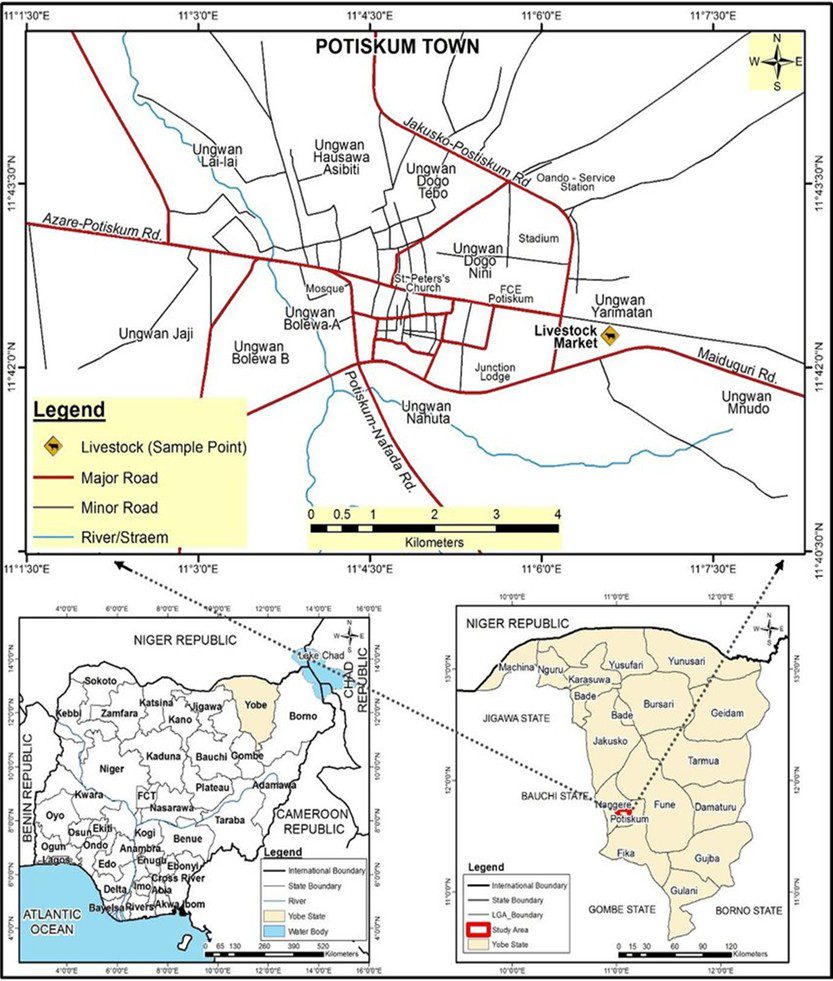 Molecular Detection of Helicobacter Pylori Among Patients Attending ...