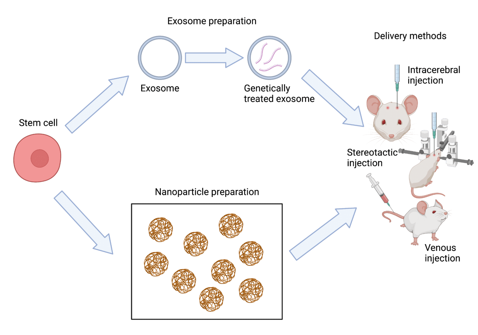 Stem Cell Implants: Emerging Innovation